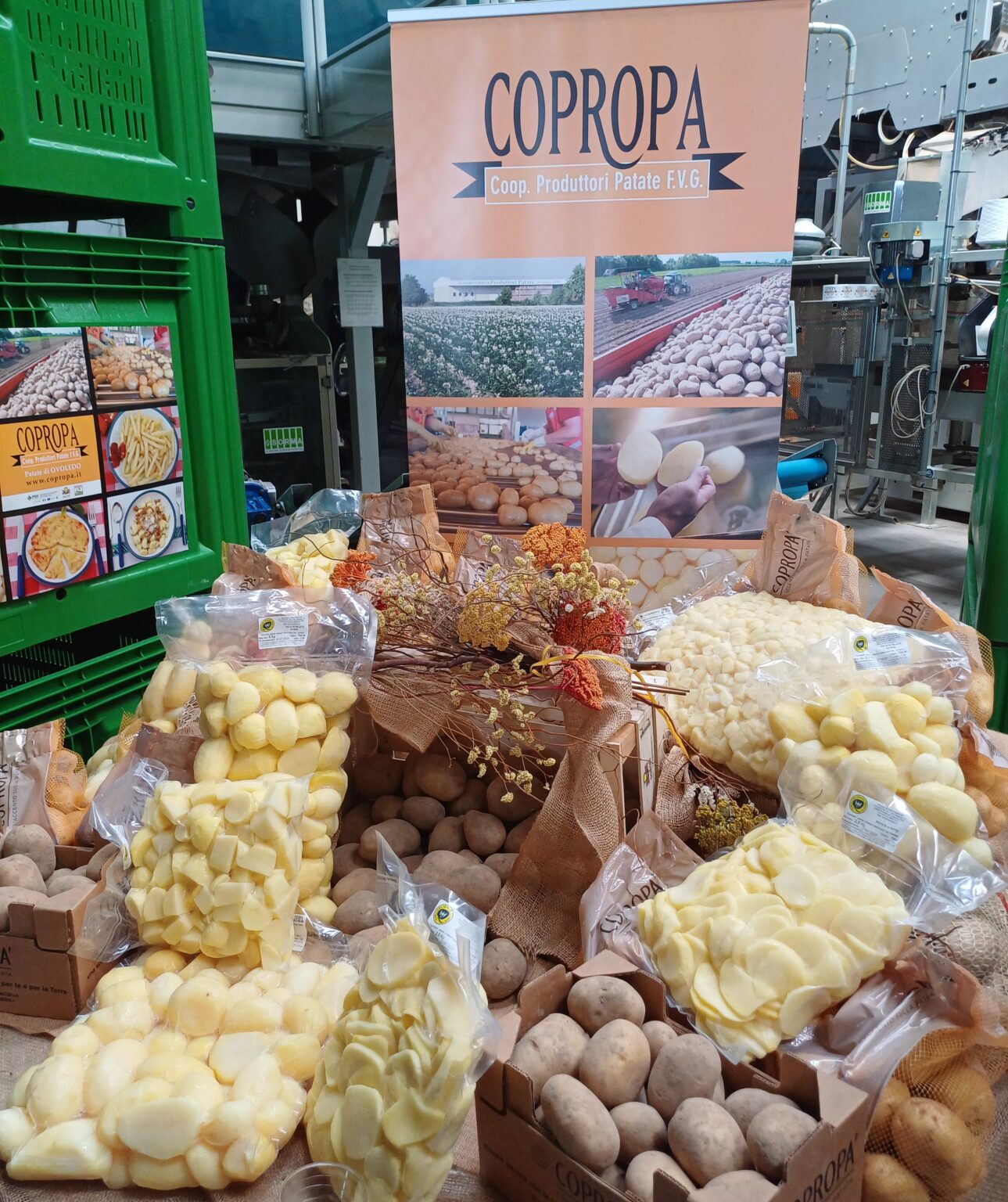 Kayla wallace nipple in short: Book an appointment with the